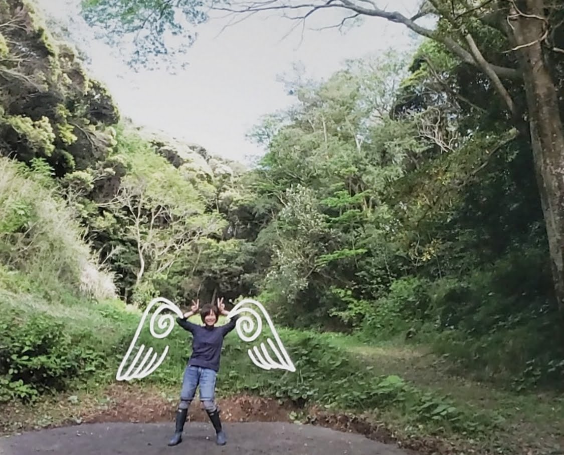 PROFILE – TAKAKO-SHIRAI Official Web Site